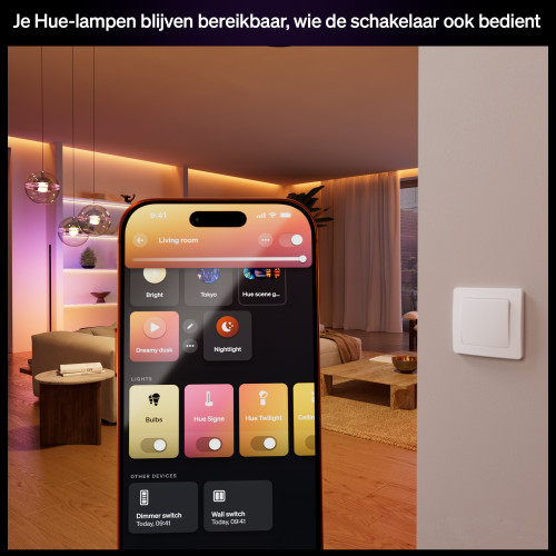 Philips Hue Bedrade Wandschakelaar 1 Kanaal | Slimme Schakelmodule ...